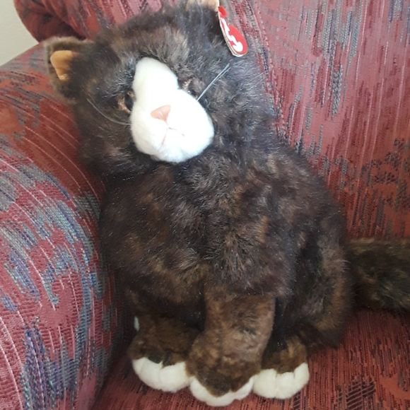 Ty | Toys | Ty Classic Big Prissy The Cat Bundle Only | Poshmark